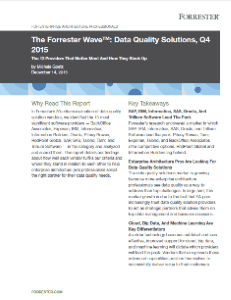 Data analyst reports | Experian Data Quality