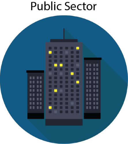 Public Sector Icon